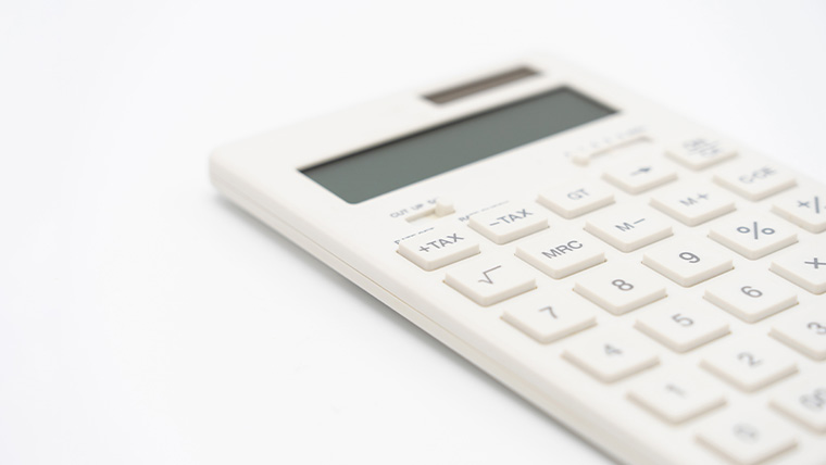 Účetní výkazy za Českou republiku za účetní období roku 2024 ...