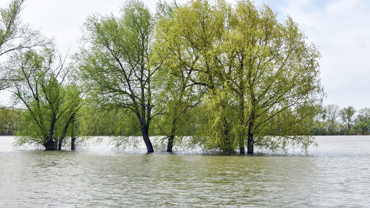 Odstranění následků škod způsobených tlakovou níží Boris (mimořádná ...