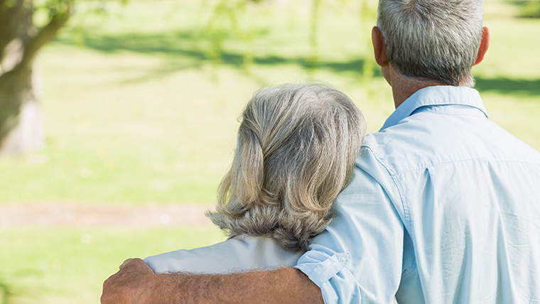 Základní ukazatele vývoje penzijního připojištění a doplňkového ...